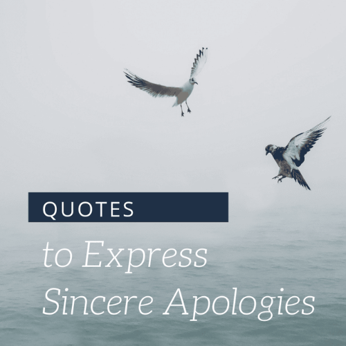 Quotes to Express Sincere Apologies • Mommy's Memorandum